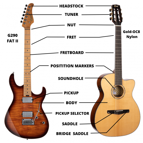 SALAH PAHAM BAHASA DALAM ANATOMI GITAR - MG Sports & Music